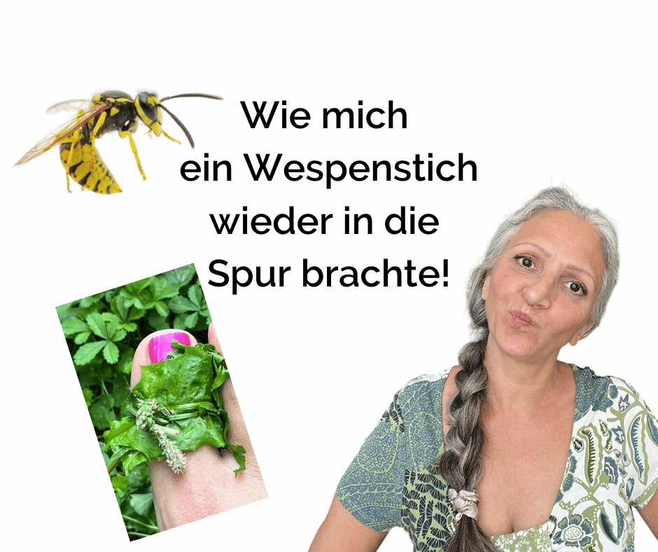Durch Wespenstich in die Spur gebracht - mein Weg der Erkenntnis